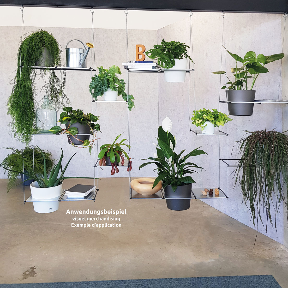 Hängegarten Filo Starter Set online kaufen