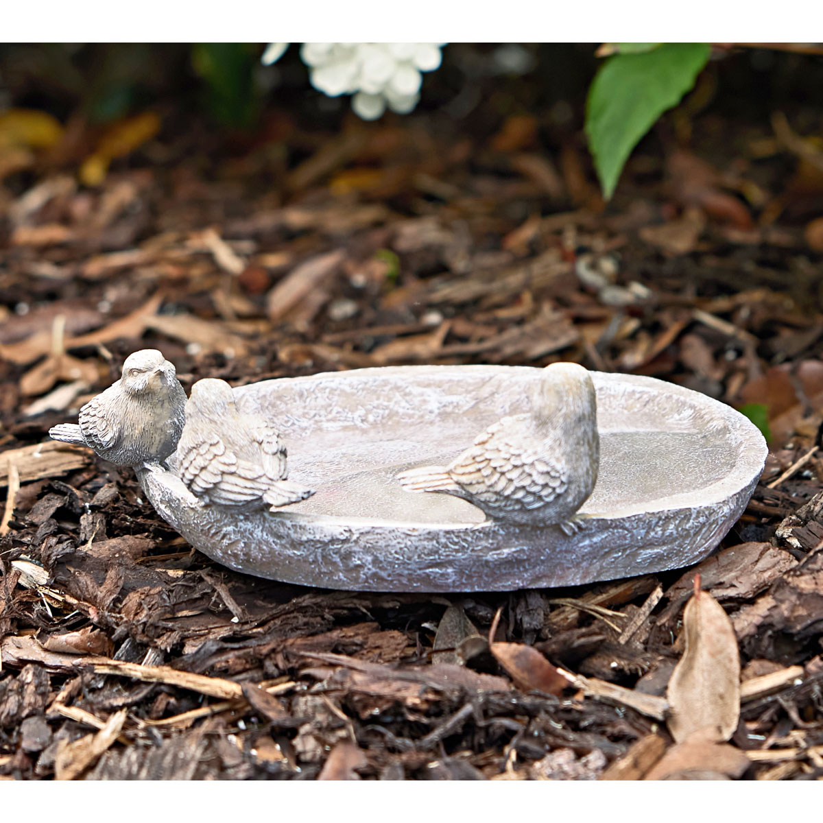Vogeltränke Mavius 22 x 22 x 8 cm online kaufen