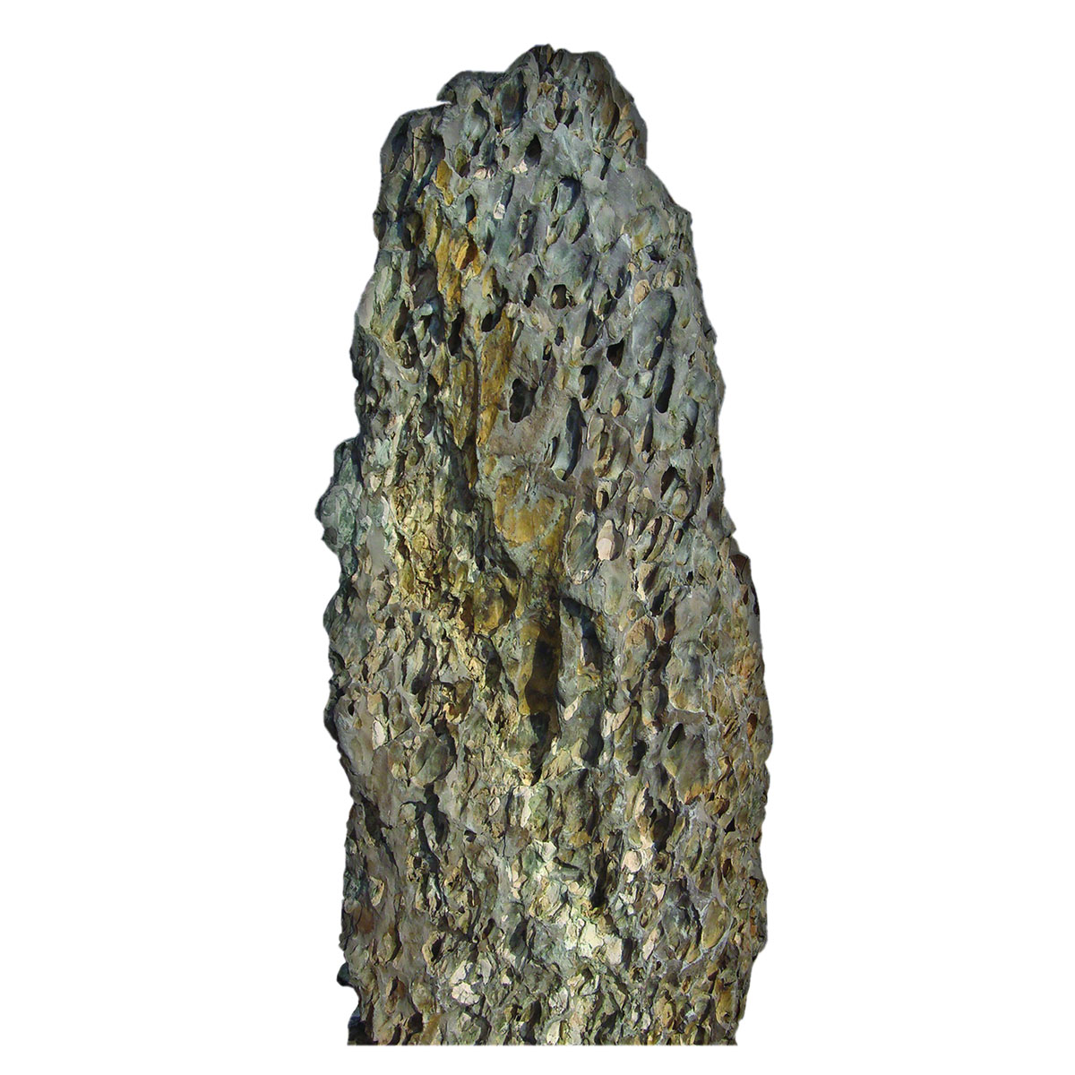 Gardenforma Wasserspiel-Findling Komplett-Set „Dragon Bone“, Kalkstein ...