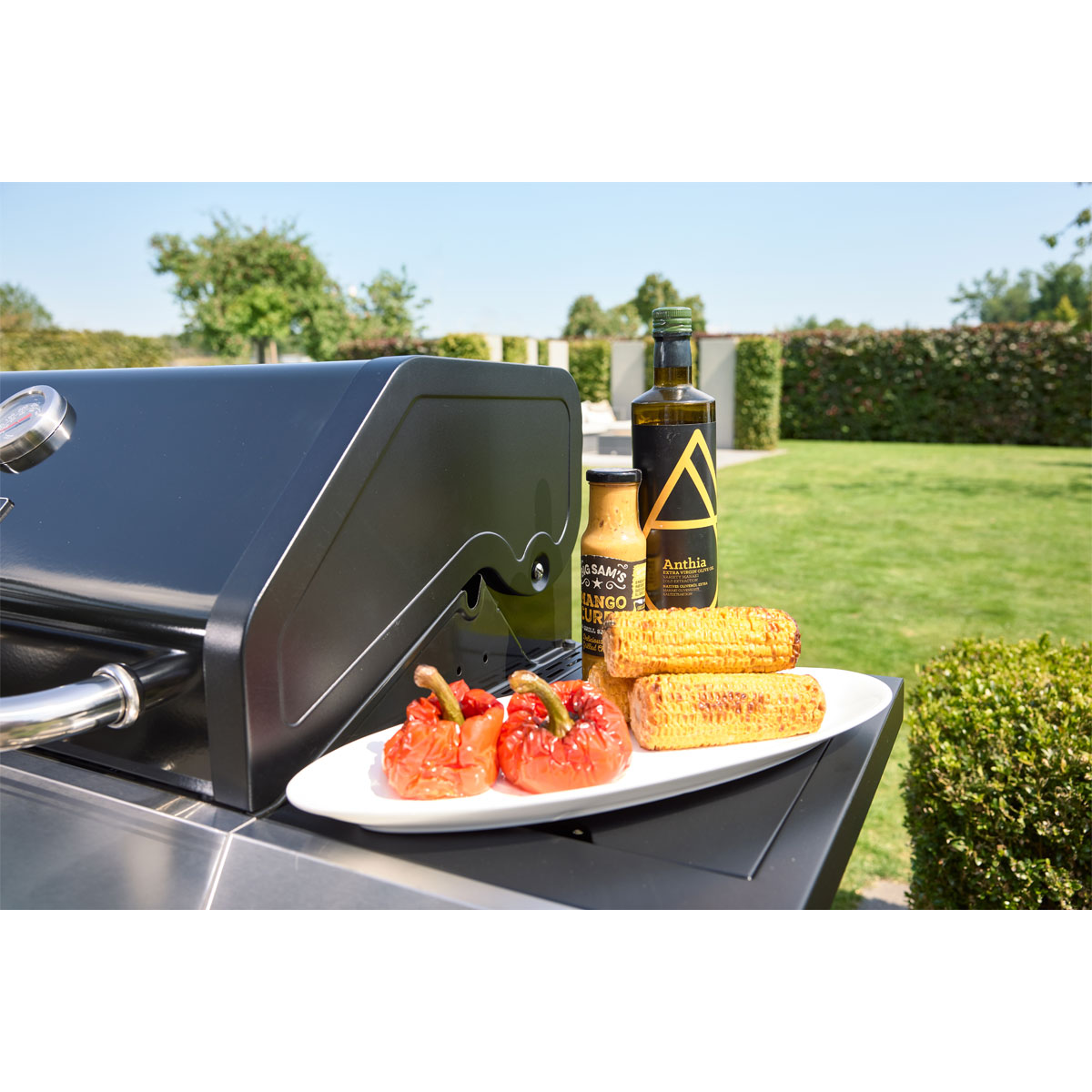 Rothmann Gasgrillwagen Daytona 5 Plusschwarz mit Edelstahlapplikationen ...