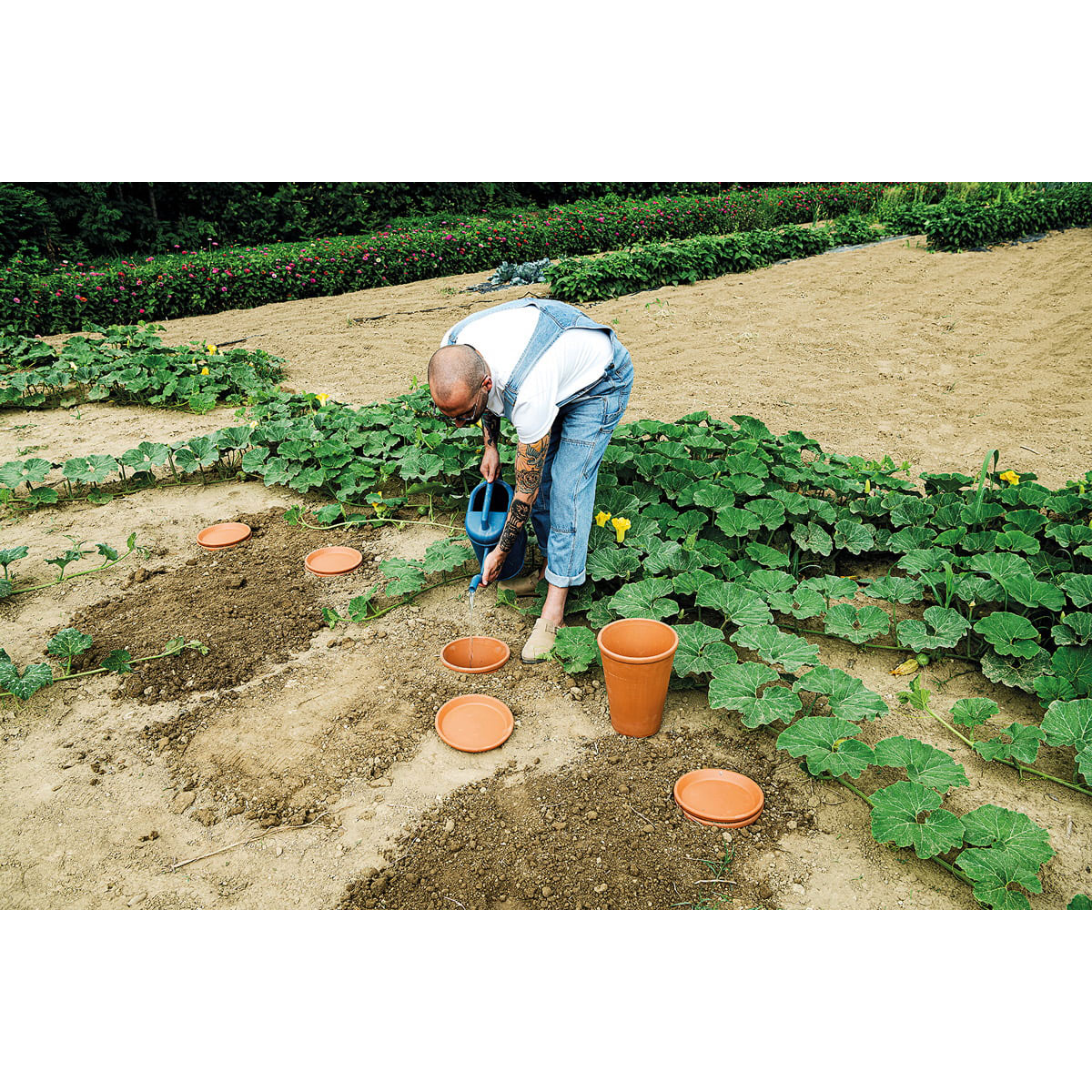 Bewässerungskegel Aquado online kaufen